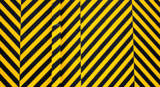 The Hazards of Pest Infestations - Dynamic Pest Control